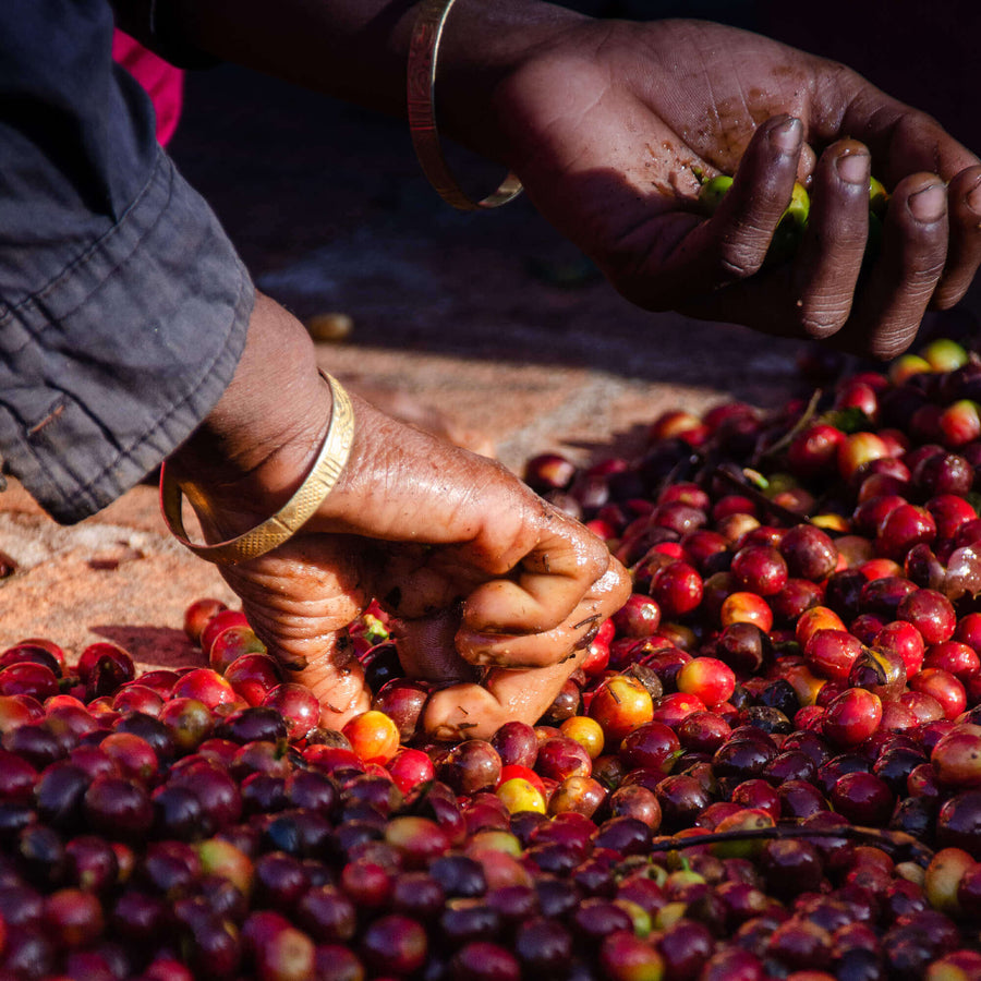 About Us – Baarbara Coffee